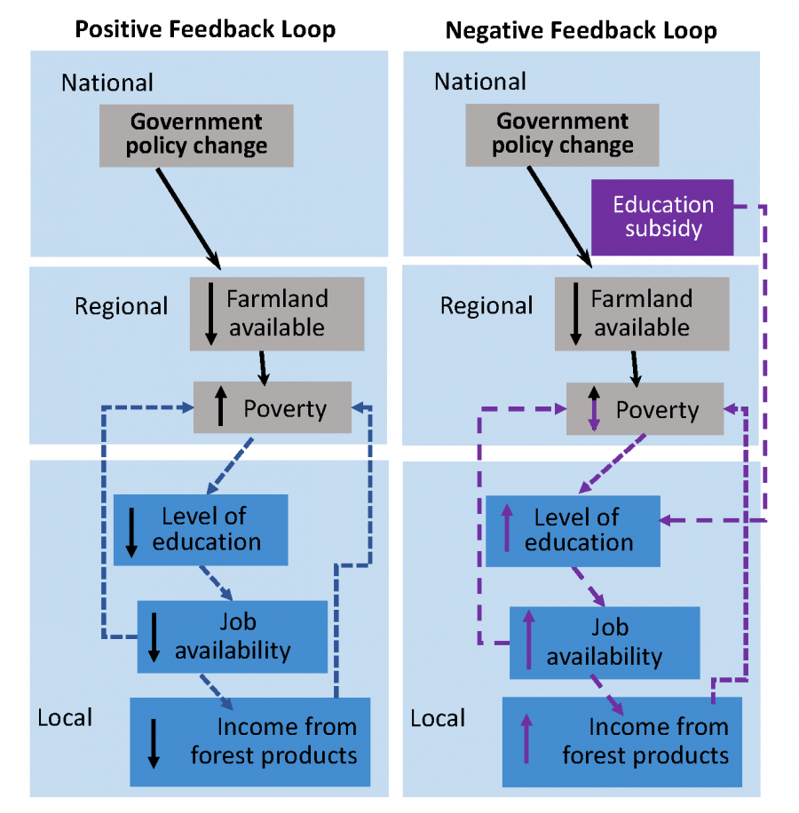 Feedback Loops and Socio-Environmental Systems | SESYNC